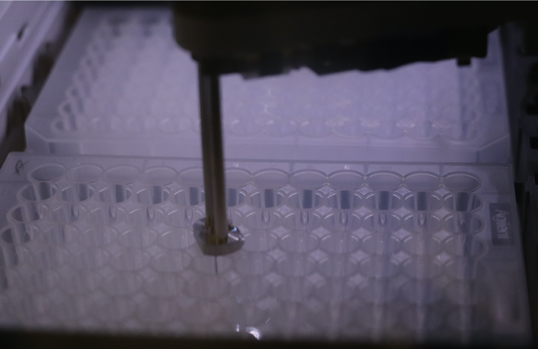 Exosome and serum analysis for protein and lipid identification - LCMS